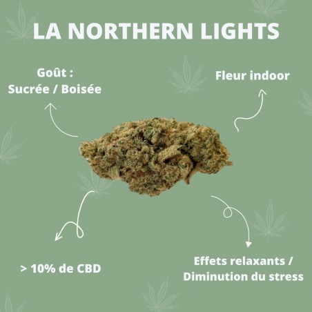 Fleur de CBD - Northern Lights