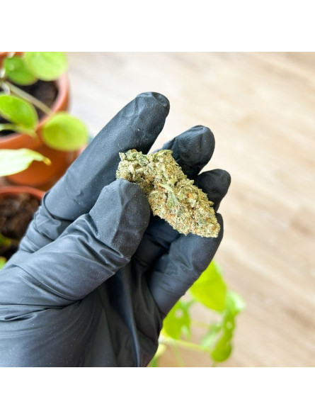 La Zest Storm : fleur de CBD puissante, citronnée et sucrée